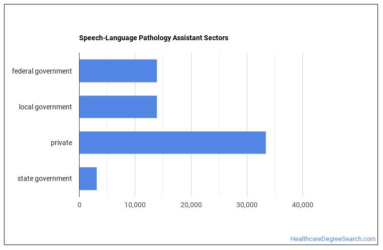 What's It Like Being a Speech-Language Pathology Assistant ...