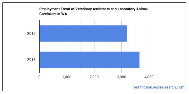 Veterinary Assistants And Laboratory Animal Caretakers In Washington Healthcare Degree Search veterinary-assistants-and-laboratory-animal-caretakers-in-washington-healthcare-degree-search