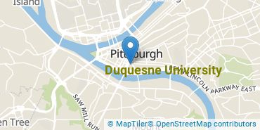 Studying Healthcare at Duquesne University - Healthcare Degree Search