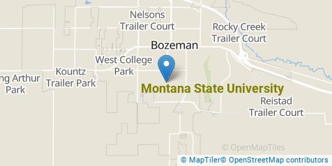 Montana State University Healthcare Majors - Healthcare Degree Search