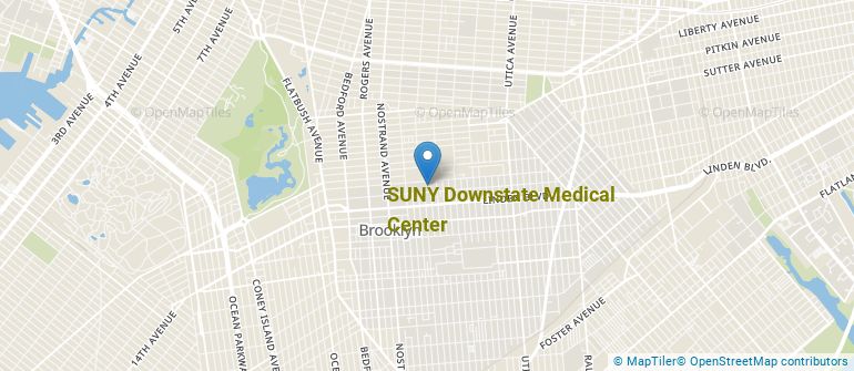 SUNY Downstate Health Sciences University Healthcare Majors ...